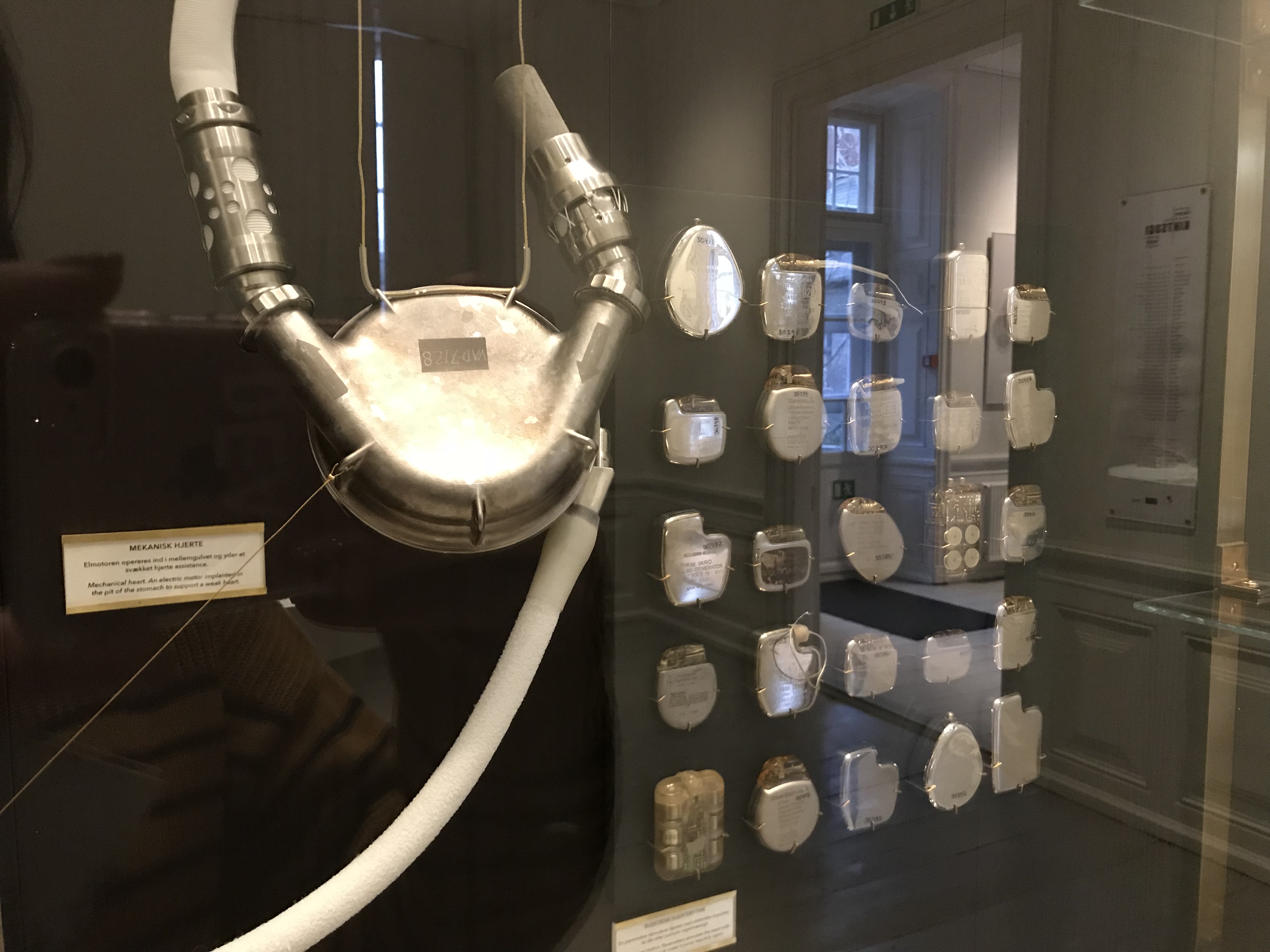 Copenhagen Medical Museum – Mortuary Gem