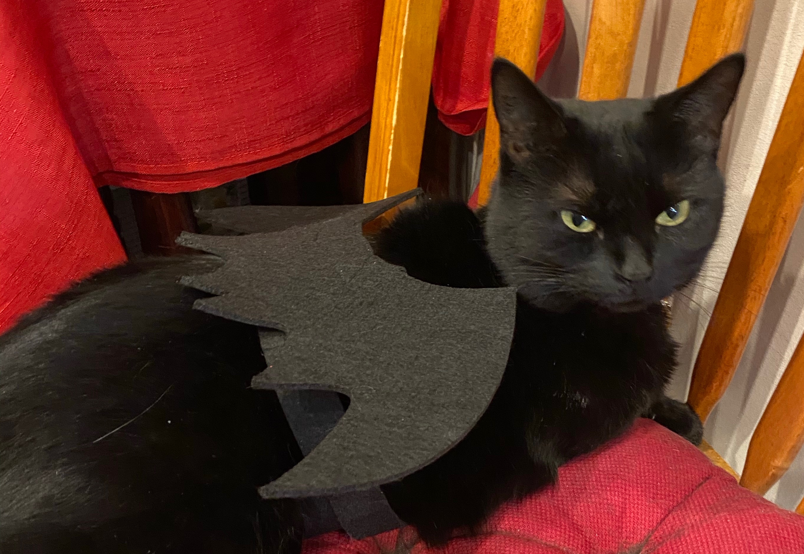 Every Day’s a Scare Day – Mortuary Gem